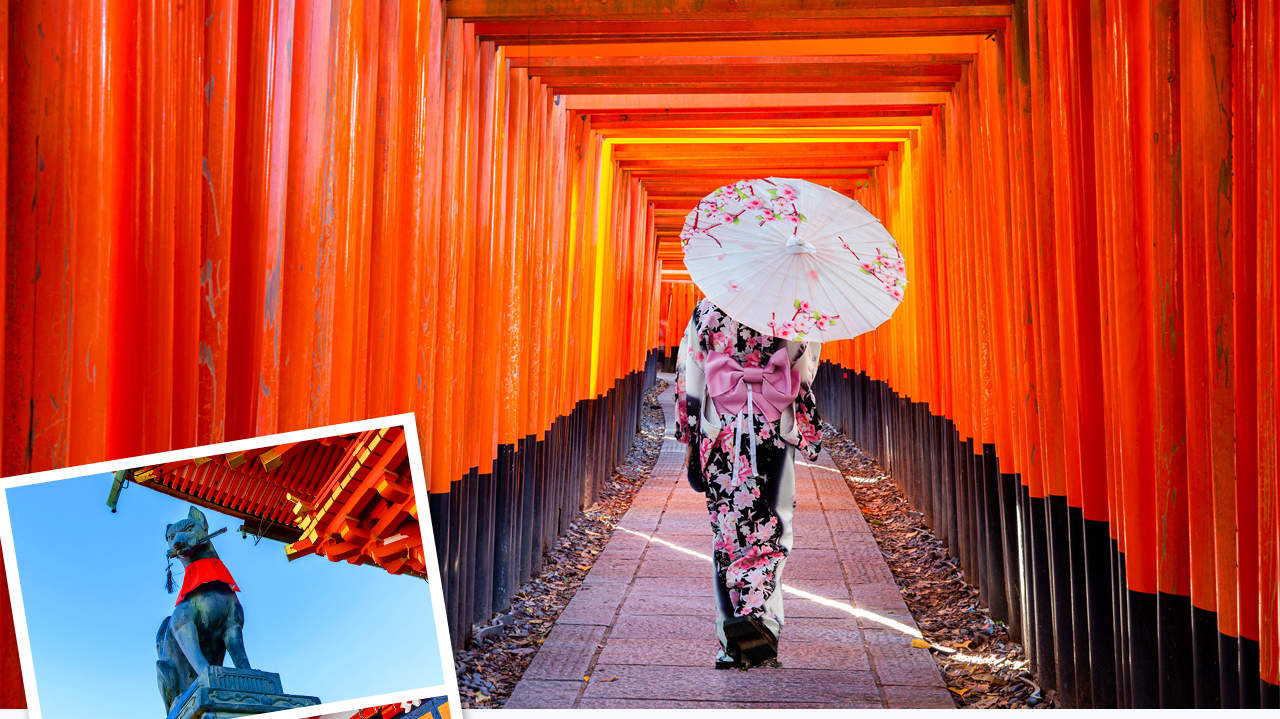 Kyoto, Nara, Arashiyama Day Trip | Nara Park Deer Feeding • Fushimi Inari Shrine's Thousand ...